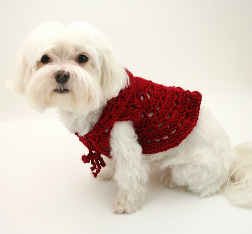 Ravelry: Dog Sweater Circle Shrug pattern by Brandie Knaggs