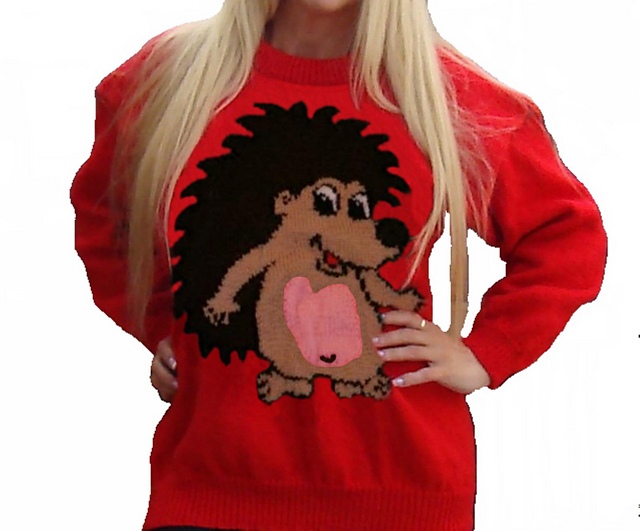 Ravelry: Cartoon Hedgehog Jumper pattern by Blonde Moments