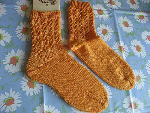 Ravelry: Lace Rib Socks pattern by Charlene Schurch and Beth Parrott