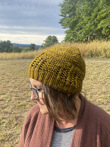 Ravelry: Goldenrod pattern by Melissa LaBarre