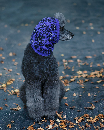 Ravelry: Haunted Mansion Dog Snood & Human Cowl pattern by Cassandra Jones