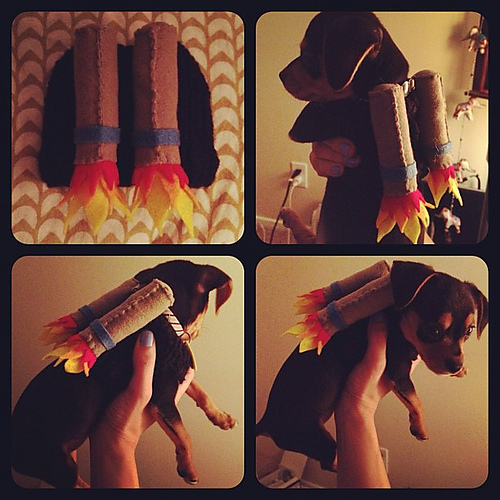 Ravelry: Puppy Jet Pack pattern by Imogen Nieves