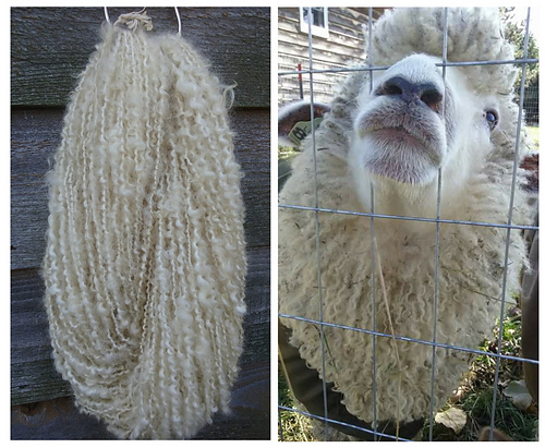 Ravelry: Lockspun Winter Hat pattern by Lisa Pohl Davis