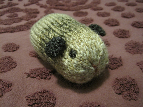 Ravelry: Guinea Pig pattern by Yvonne Boucher