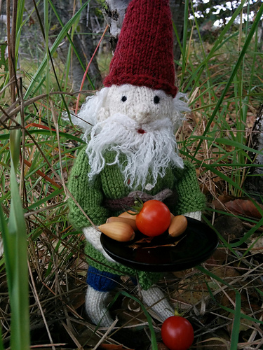 Ravelry: Forest Gnome pattern by Sara Elizabeth Kellner
