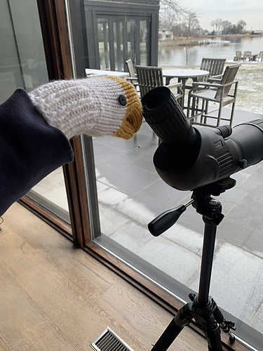 Ravelry: Sleeping Goose Mittens pattern by Lena Mathisson
