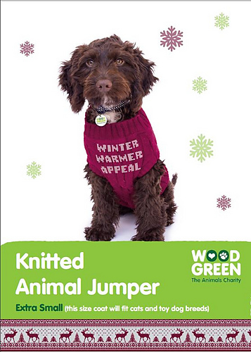 Ravelry: Knitted animal jumper pattern by Wood Green: the Animals Charity
