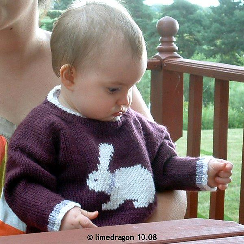 Ravelry: Bunny Pullover pattern by Gail Pfeifle, Roo Designs