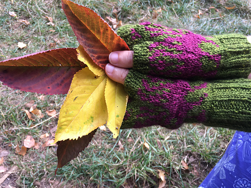 Ravelry: October Rose Mitts pattern by Anna Granta