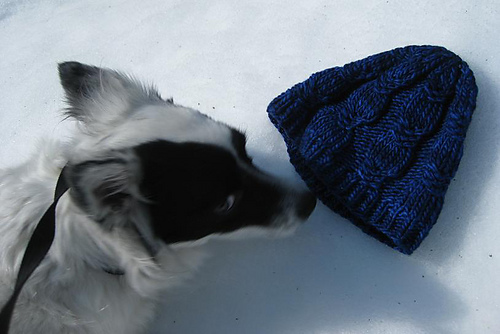 Ravelry: Never Fail Quail Cap pattern by Lauren Martin