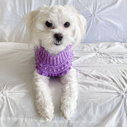 Ravelry: Lottie’s Spotty Doggy Jumper pattern by Beth Derham