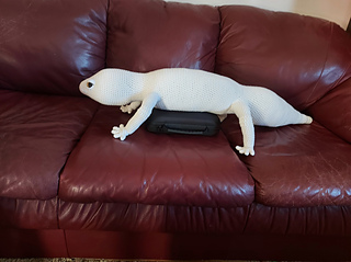 Ravelry: Large Leopard Gecko Plush pattern by Beth Mulligan of Skyfire ...