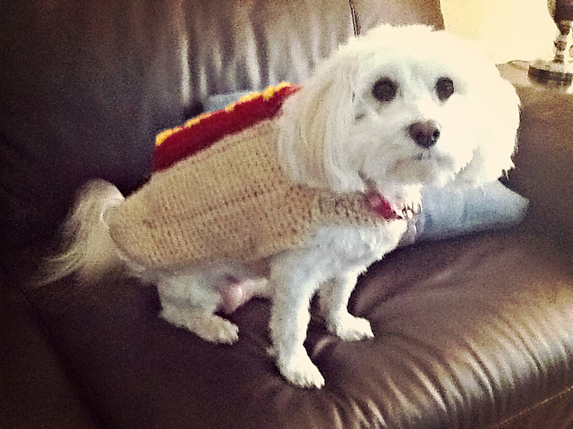 Ravelry: Crochet Hot Dog Costume for Small Dogs pattern by Linnea Rylander