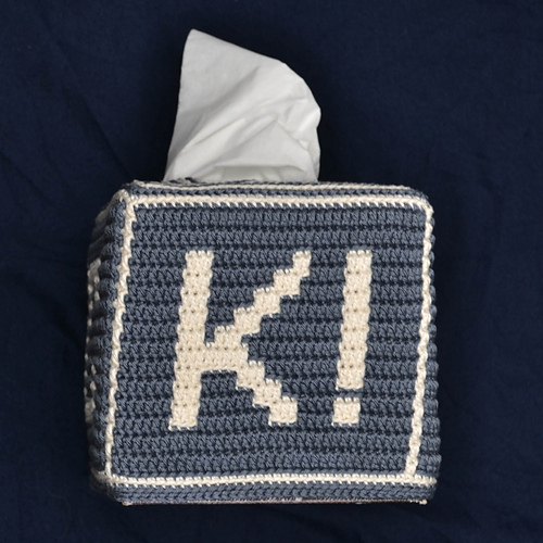 Ravelry: Tissue Box Cover Yuck pattern by Vita Mašalienė
