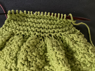 Ravelry: lynnmanning1960's Dixie's Dish Towel #5