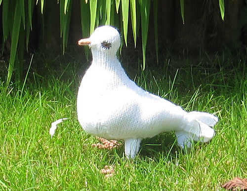 Ravelry: Peace Dove pattern by Christine Grant