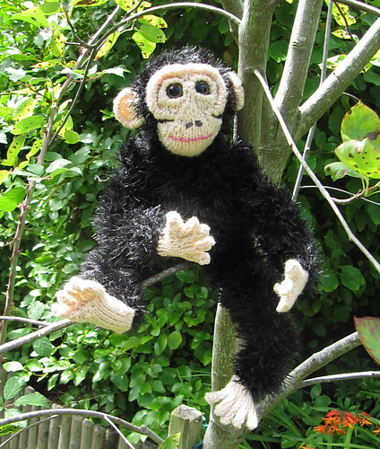 Ravelry: My Pet Baby Chimpanzee pattern by Christine Grant