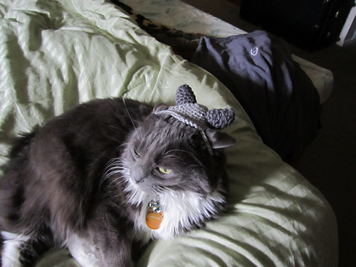 Ravelry: Viking Cat Hat pattern by Rebecca Russell