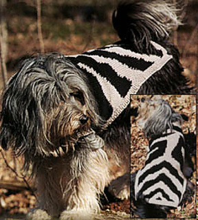 Ravelry: Zebra Dog pattern by Mags Kandis