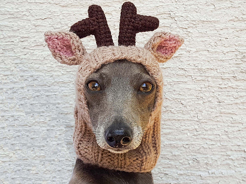 Ravelry: Reindeer Dog Hat pattern by Majda Smolnikar