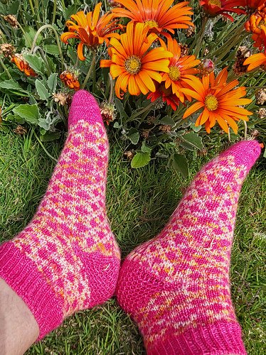 Ravelry: Rhubarb and Custard Socks pattern by Zanete Knits