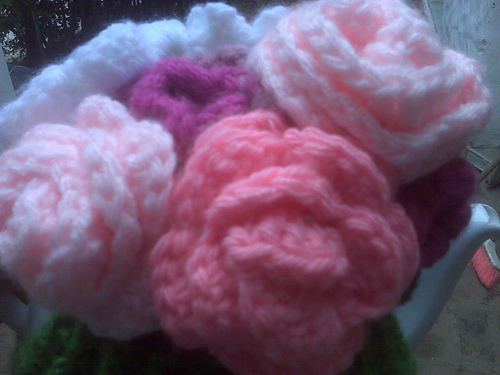 Ravelry: maysoria's May Soria Roses Cozy