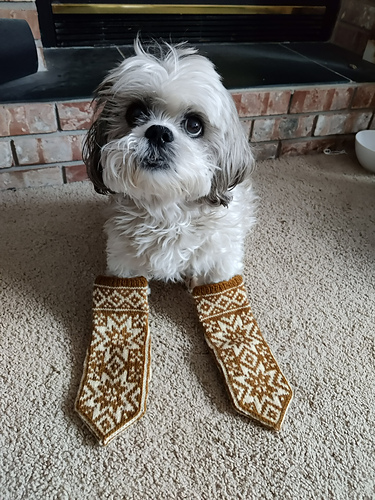 Ravelry: Emma's Ice Flower Mittens pattern by Runningyarn
