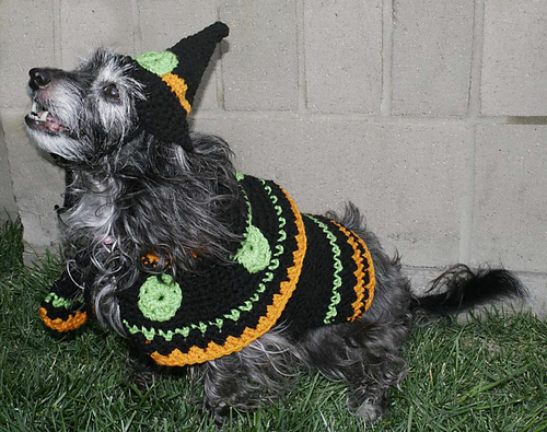 Ravelry: Dog's Crochet Witch Costume pattern by Sharon Mann