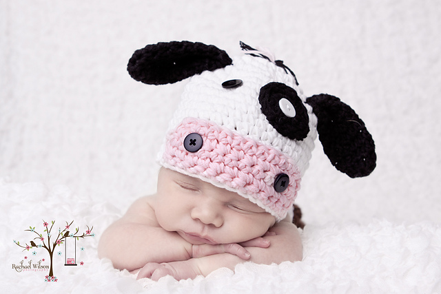 Ravelry: The Moo Moo pattern by Crystal Hooper