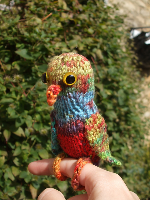 Ravelry: Knitted Amigurumi Parakeet pattern by Christina Hedges