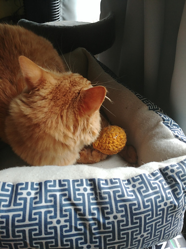 Ravelry: Simple Crochet Cat Balls pattern by Alicia Simon