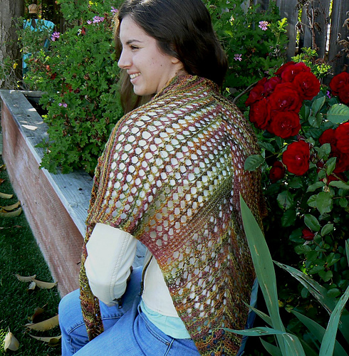 Ravelry: A Stitch Sampler Shawl pattern by Renee Van Hoy