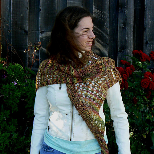 Ravelry: A Stitch Sampler Shawl pattern by Renee Van Hoy
