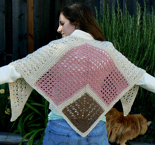Ravelry: A Stitch Sampler Shawl pattern by Renee Van Hoy