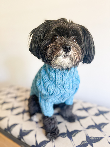 Ravelry: mossmermaid's Botanical Yoke Dog Sweater