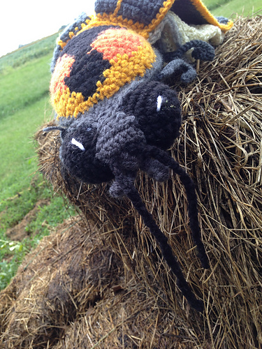 Ravelry: Buggables: Lightning Bug pattern by Jenna Wingate