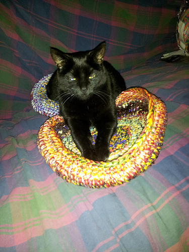 Ravelry: Hamish Cat Bed pattern by Audrey Helou