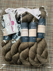 Ravelry: Shibui Knits Reed