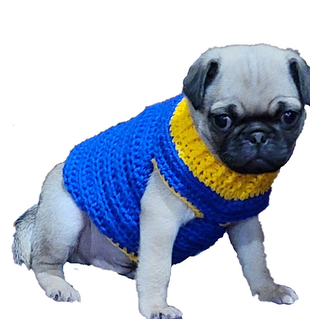 Ravelry: Pug Puppy Sweater pattern by Lisa Ferrel