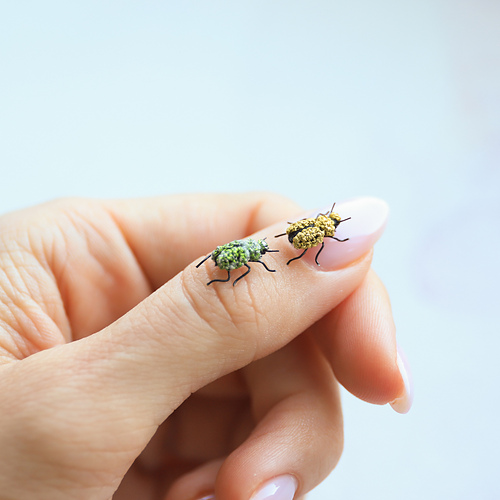 Ravelry: Little Bug pattern by Anastasia Sarkisian