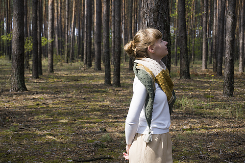 Ravelry: Silence shawl pattern by Anna Radchenko