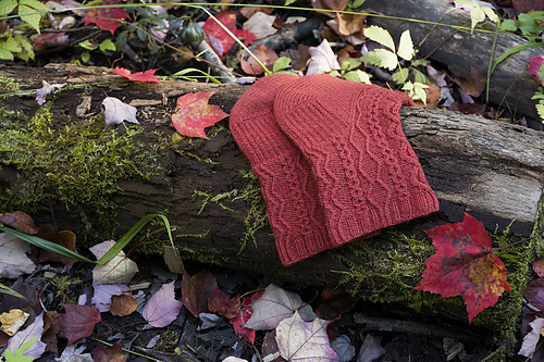 Ravelry: Autumn Ember socks pattern by Anna Radchenko