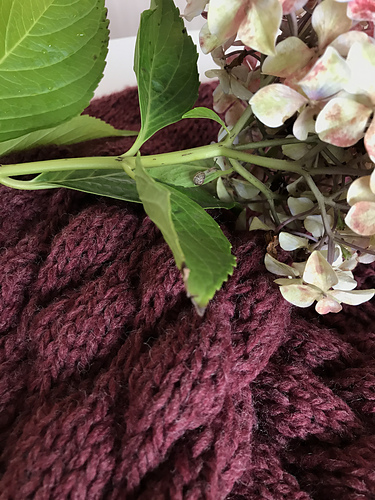 Ravelry: Cardigan Pop pattern by Gabriela Tramón