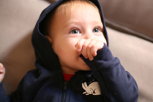 Ravelry: Happy Animals Baby Hoodie 3-6 months