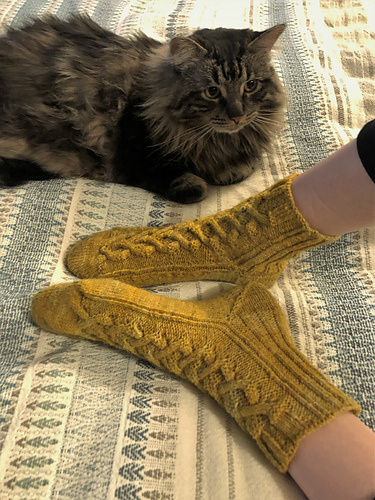 Ravelry: Flock Socks pattern by Pam Sluter