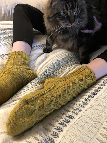 Ravelry: Flock Socks pattern by Pam Sluter