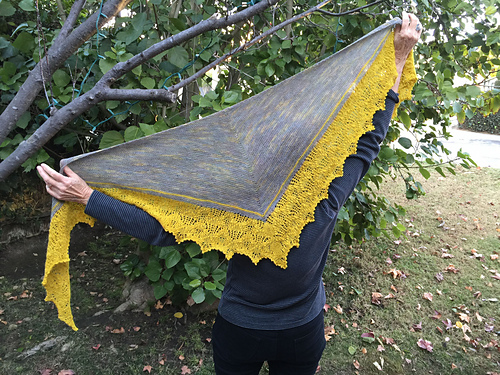 Ravelry: Beaux Arts Shawl pattern by Dani Gherardi