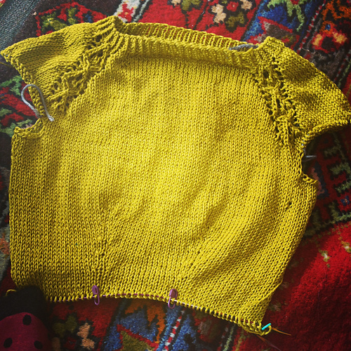 Ravelry: casti's Rondeur - Eweknit Make along