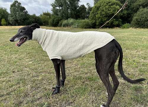 Ravelry: Greyhound sweater pattern by jessbijl