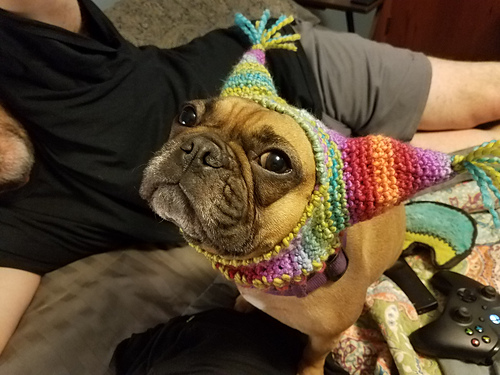 Ravelry: Silly Frenchie Hat pattern by Angela Shaver